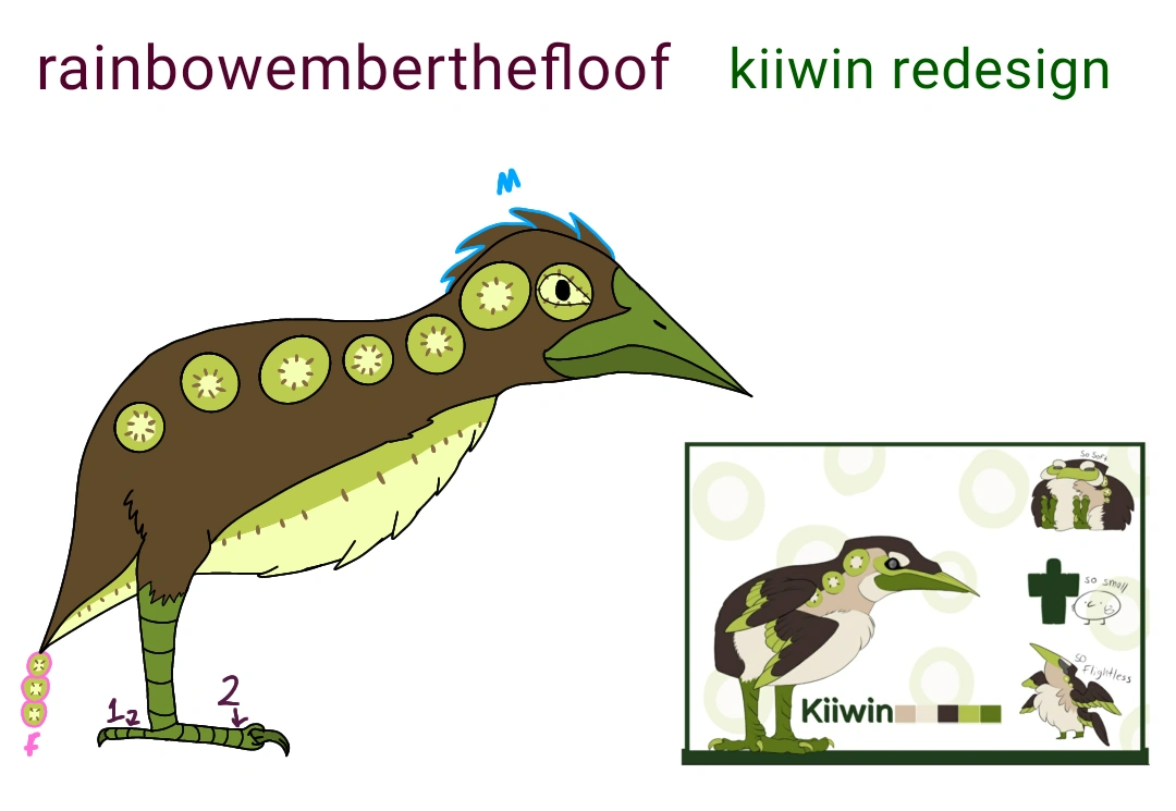 Kiiwin redesign | Fandom
