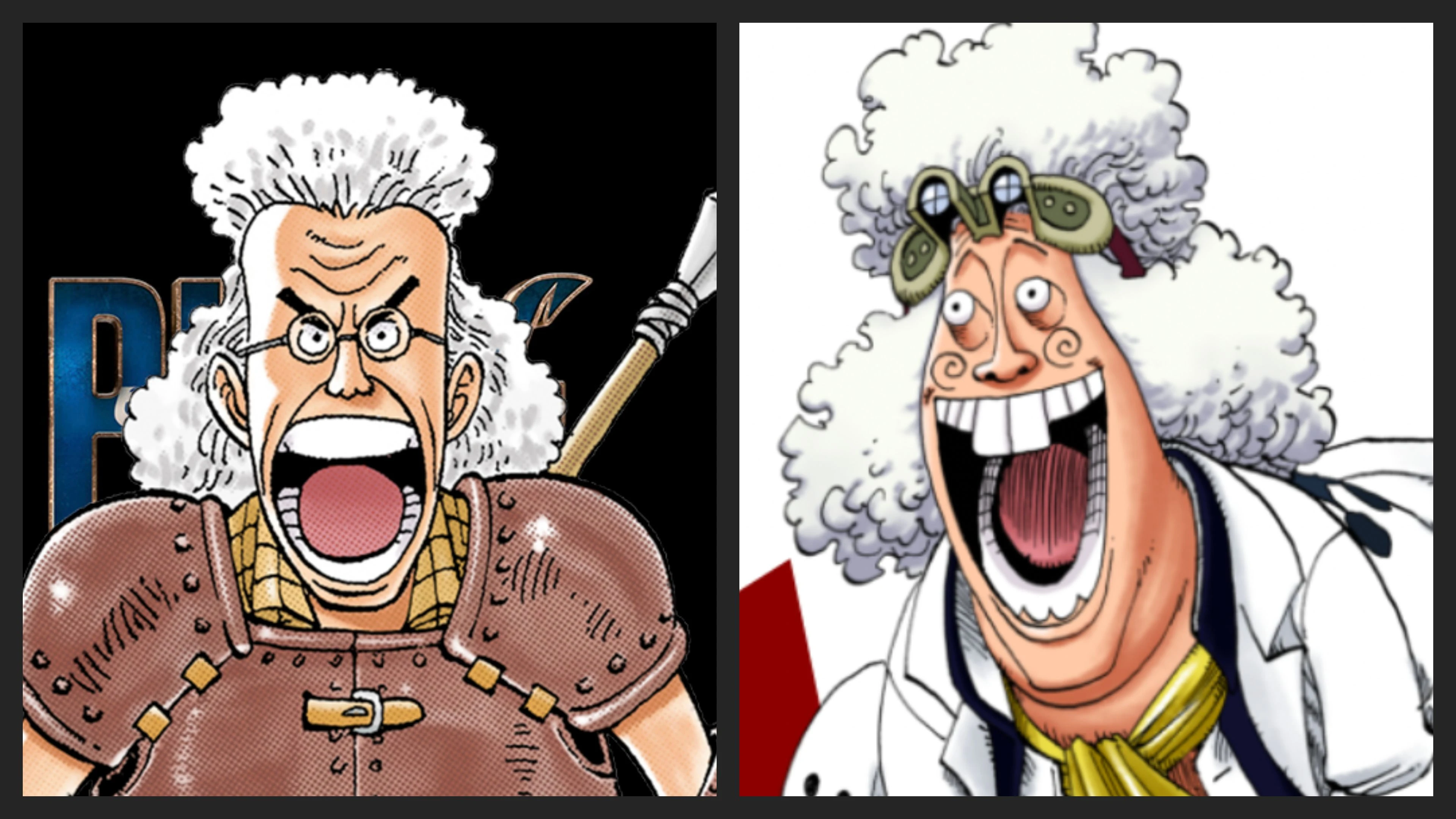 ONE PIECE THÉORIE | BUDDLE = WANZE | Fandom