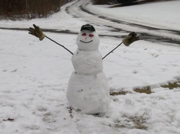 snowman | Fandom