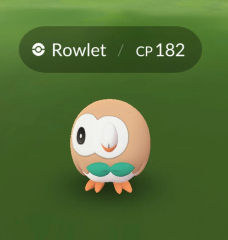 Do you guys think Rowlet is cute? | Fandom