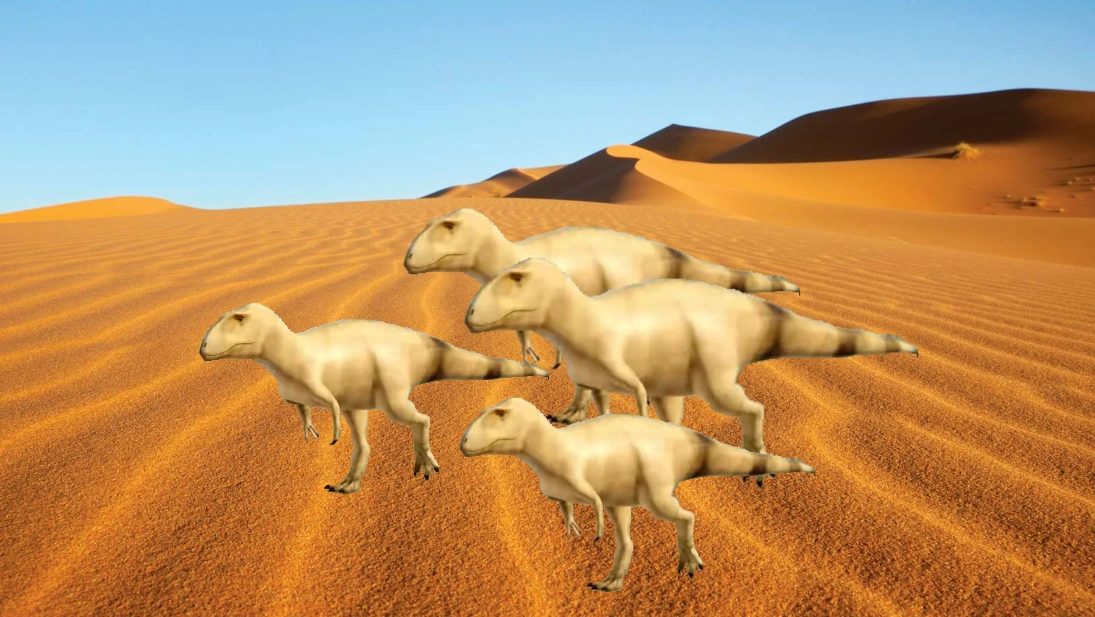 Eocarcharia dinops | Fandom