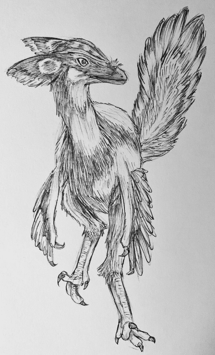 Discuss Everything About Dinopedia | Fandom