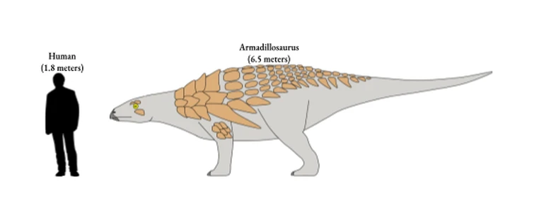 Nodosaurid for "Lost in the Primordial World". Also my first post of ...