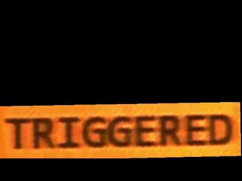 Rant about 'triggered' jokes | Fandom