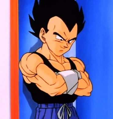 Best Vegeta outfit (part 1) | Fandom