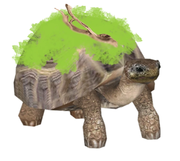 My WIP take on a plant quint | Fandom