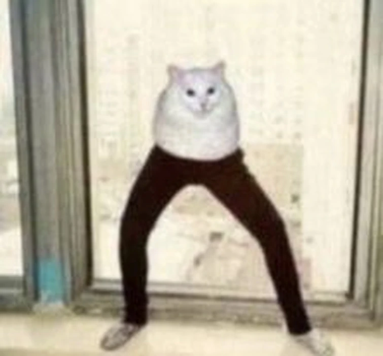 send me cursed cat images and i will draw them as fnf character | Fandom