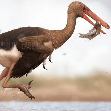 Discuss Everything About Dinopedia | Fandom