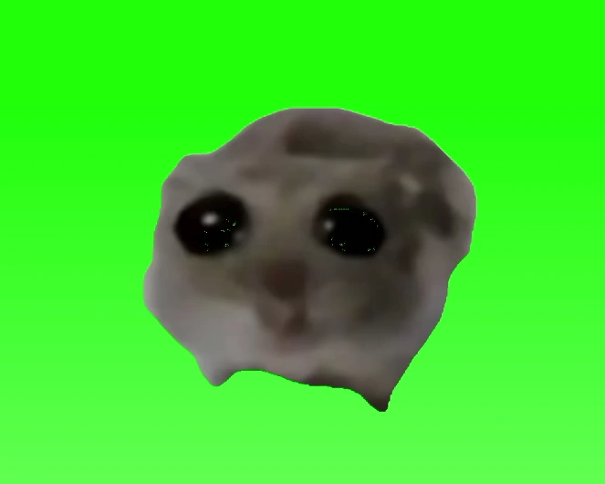 Sad hamster meme | Fandom