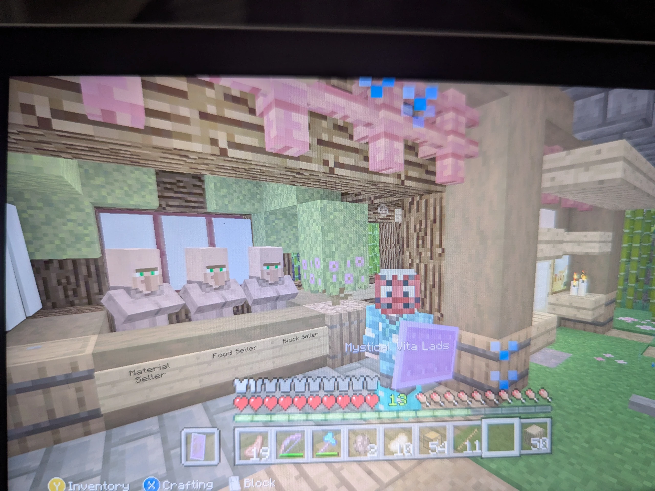 Shopkeepers introduced to the Server! | Fandom