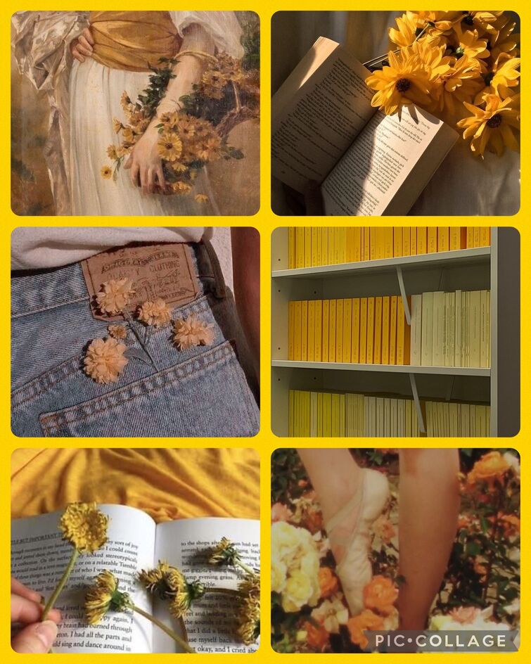 One aesthetic, one color | Fandom