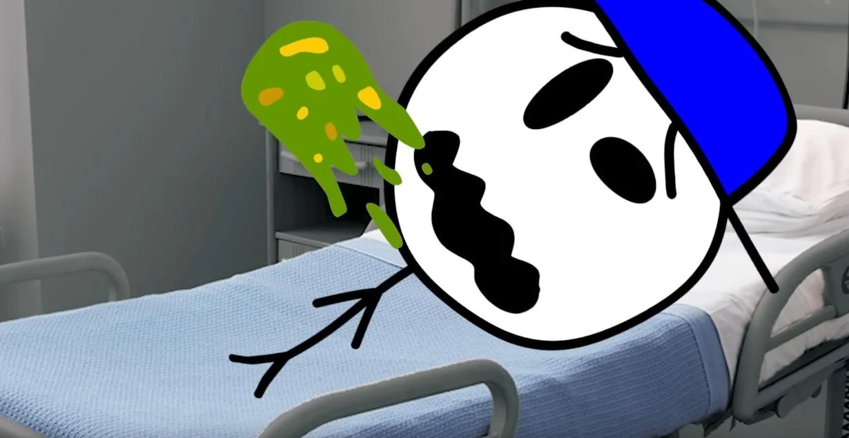 the many times i saw bfdi assets in a Burdie video | Fandom