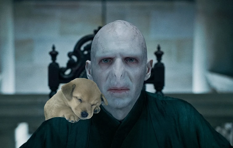 Does Voldemort have a soft spot for Dogs? | Fandom