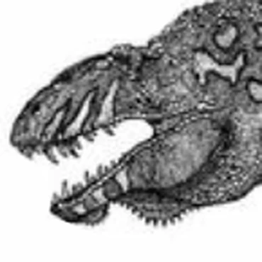 Discuss Everything About Dinopedia | Fandom