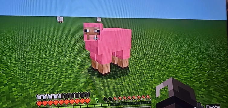 PINK SHEEP | Fandom