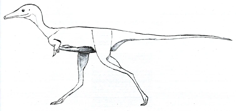 Discuss Everything About Dinopedia | Fandom