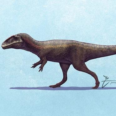 Discuss Everything About Dinopedia | Fandom