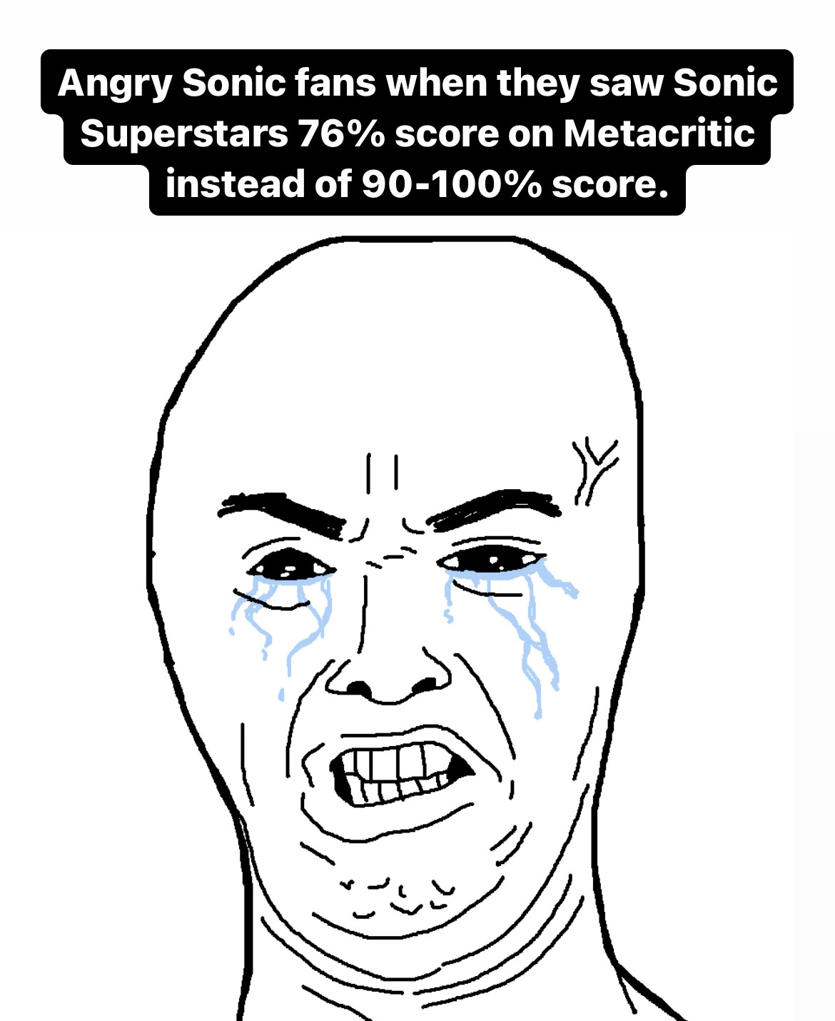 Metacritic Sonic memes | Fandom