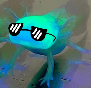 Meet Axel the Axolotl | Fandom