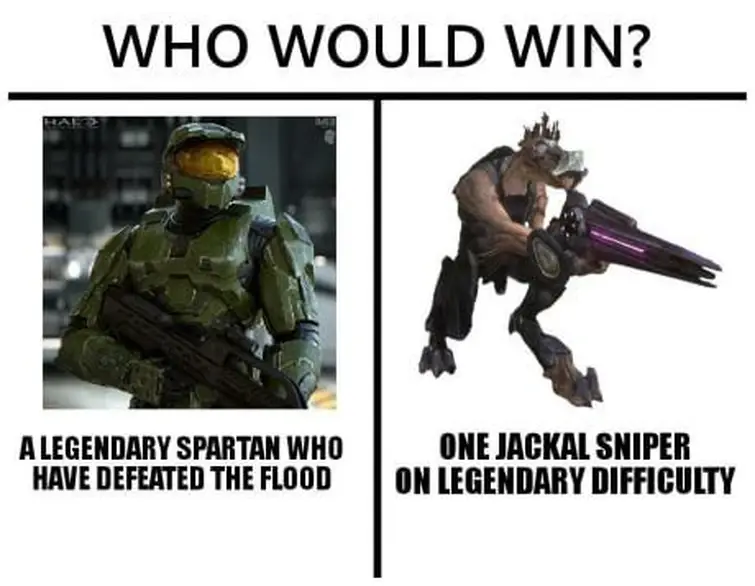 HALO memes | Fandom