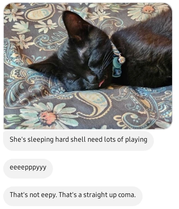 My parents got a new cat, and shes a bit tired | Fandom