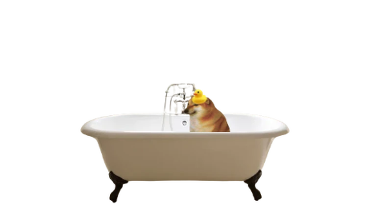 Find Cheems (41) Diffcuility: Easy | Fandom