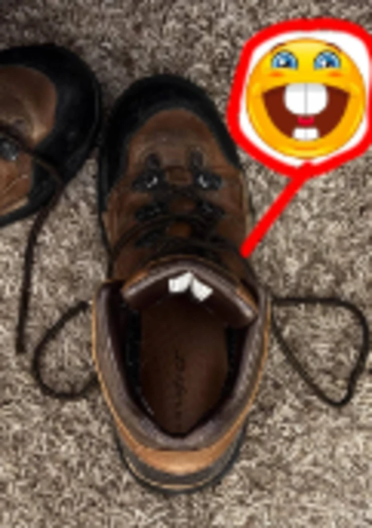 Discuss Everything About Glagglepedia Wiki | Fandom