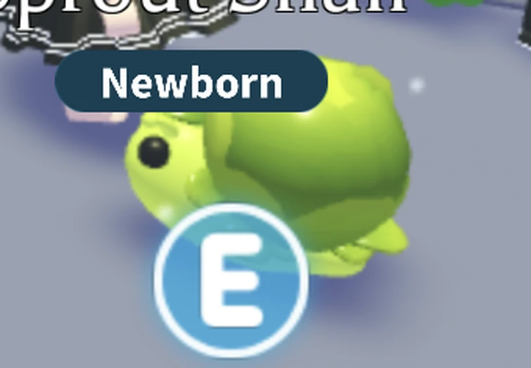 does anyone have an in-game image of the sprout snail | Fandom