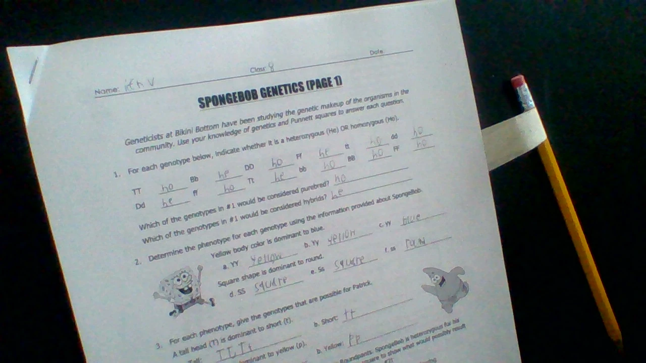 Are we deadass | Fandom