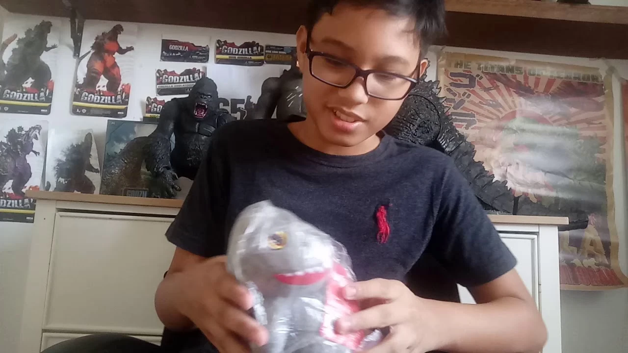 My unboxing video | Fandom