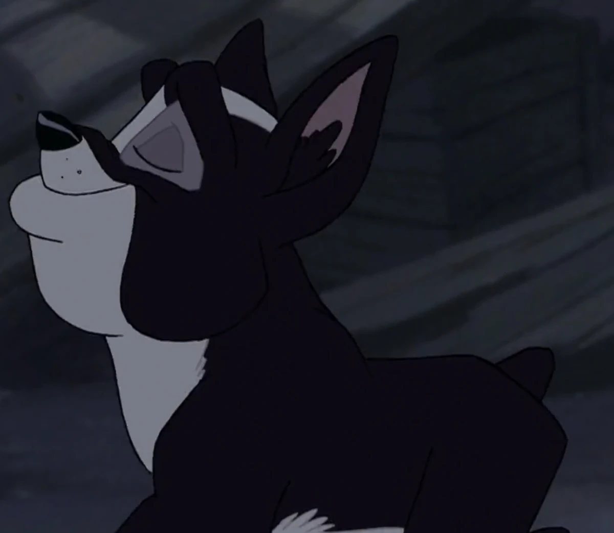 An Boston-Terrier Francois | The 2D-Cartoon-Animated Wiki | Fandom