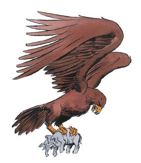 Roc | 2e D&D Wiki | Fandom