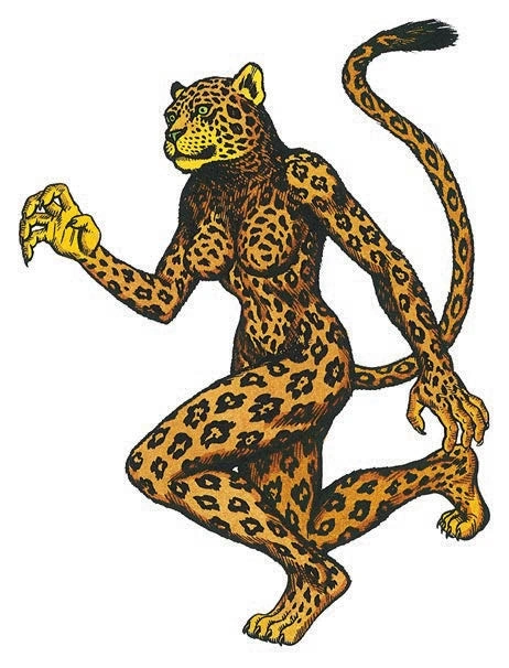 Tabaxi | 2e D&D Wiki | Fandom