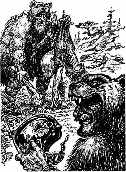 Hide Armor (AC 6) | 2e D&D Wiki | Fandom