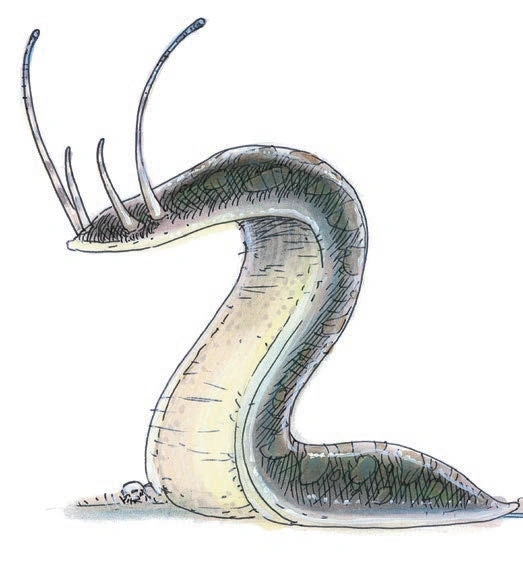 Slug, Giant | 2e D&D Wiki | Fandom