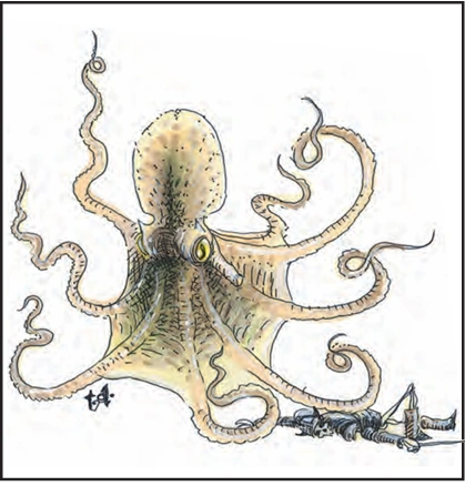 Octopus, Giant | 2e D&D Wiki | Fandom