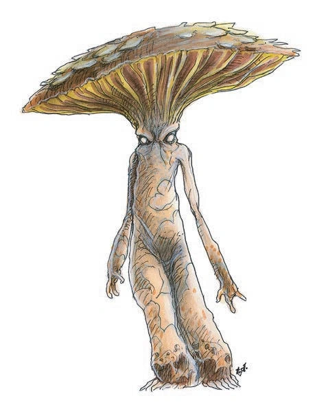 Myconid (Fungus Man) | 2e D&D Wiki | Fandom