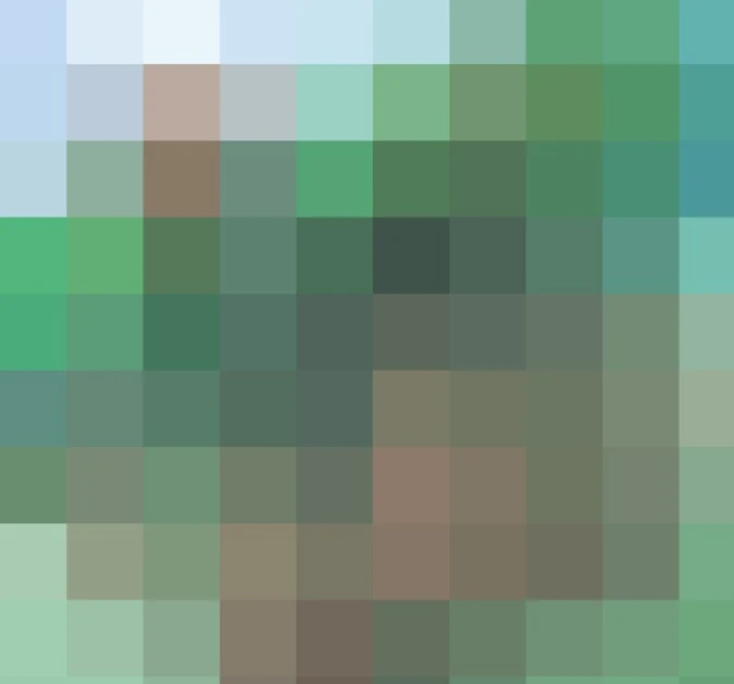 Pixelated Pokémon Image | Fandom