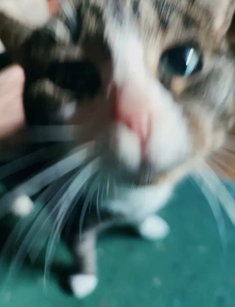 sparky jumpscare | Fandom