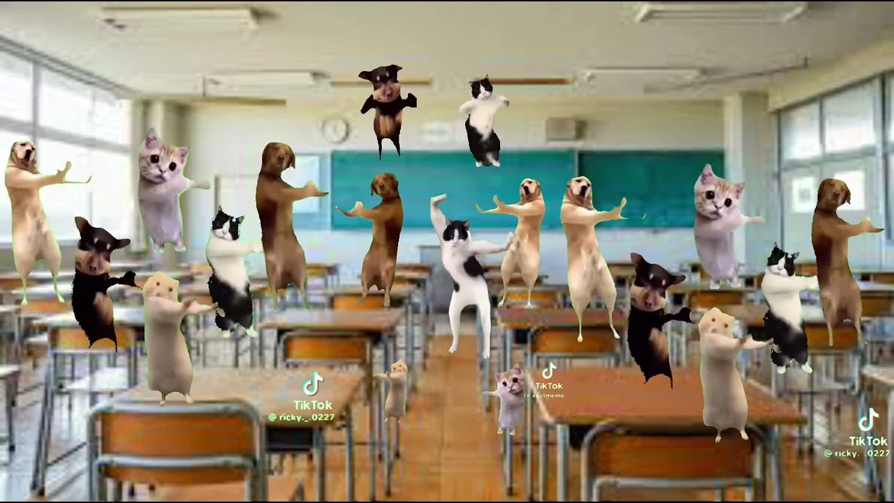 okay goodnight | Fandom