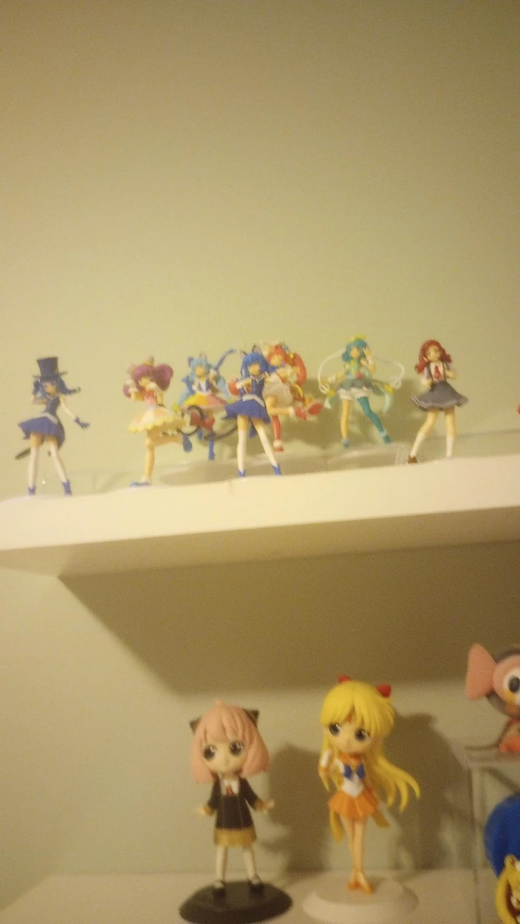 Preparing for a new shelf | Fandom