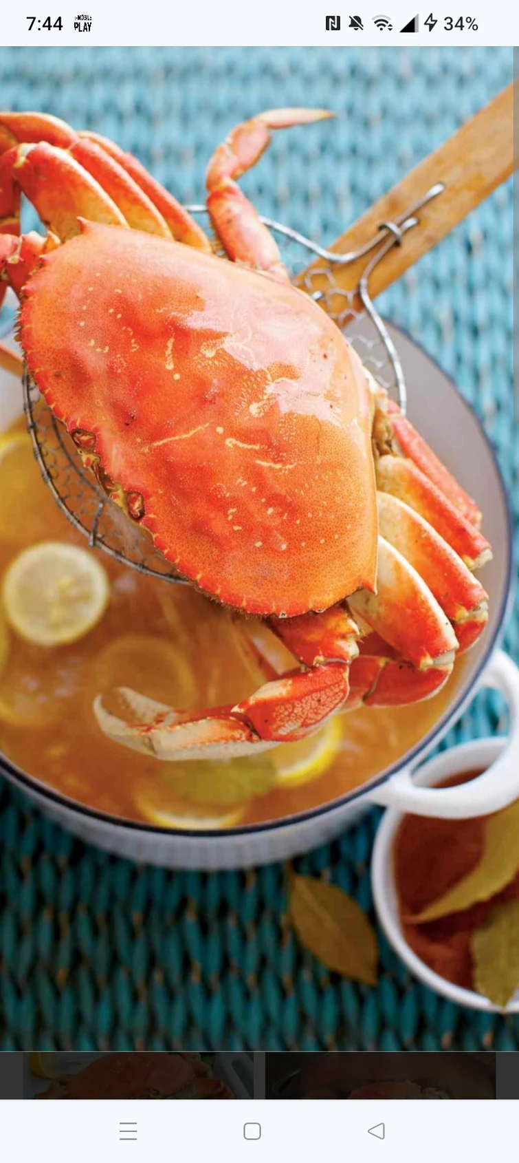 Looking for a overgrown mutuation crab | Fandom