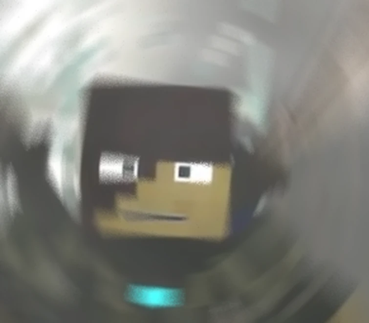 Discuss Everything About Rainimator Wiki | Fandom