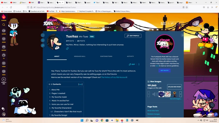 take a screenshot of your userpage and send it here | Fandom