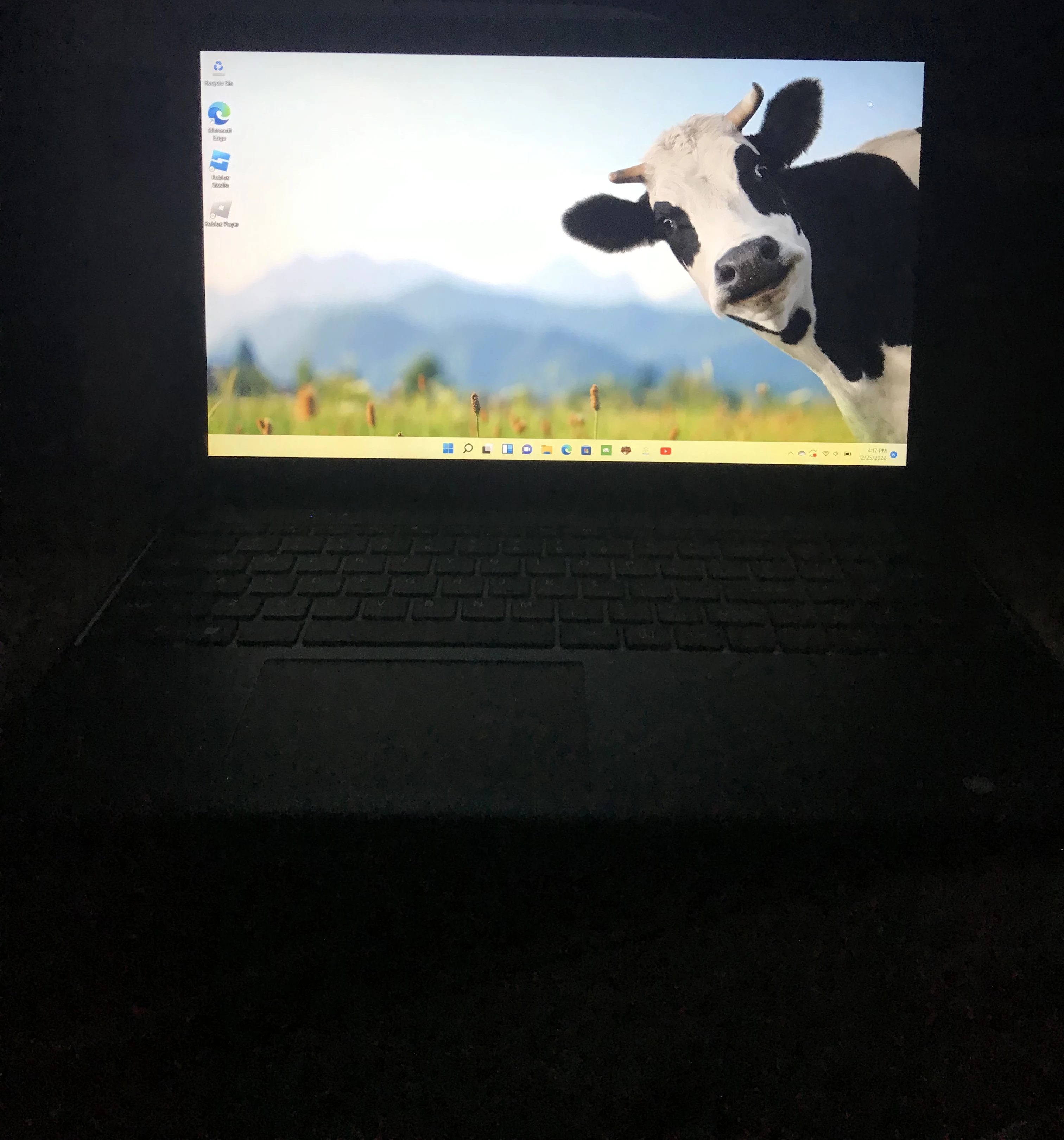 guys look, a cow | Fandom