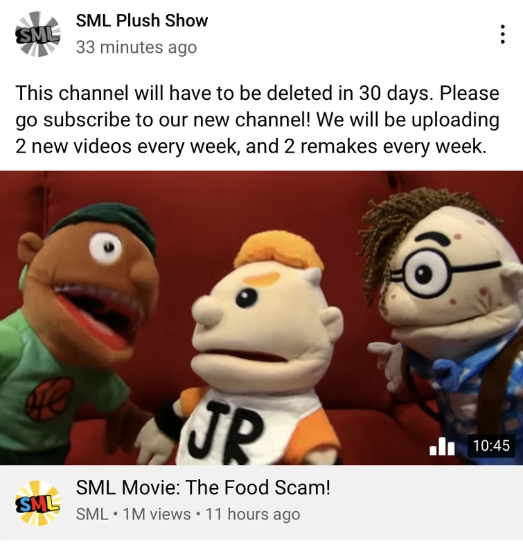 The SML Channels are all being deleted in 30 days! | Fandom