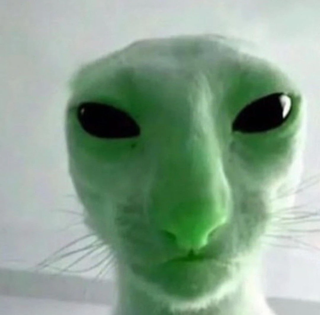 i love these little alien cats~ fufu~ ♡ | Fandom