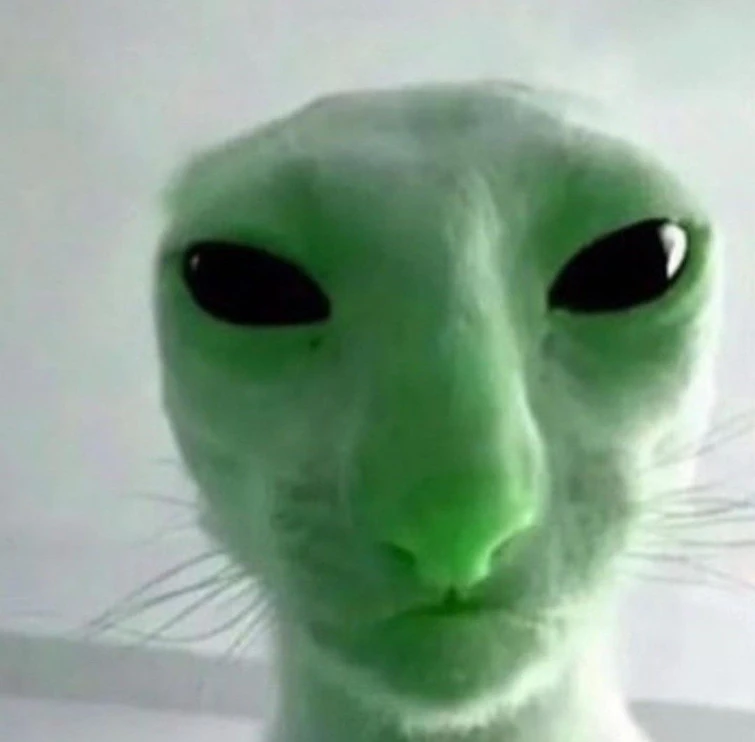 i love these little alien cats~ fufu~ ♡ | Fandom