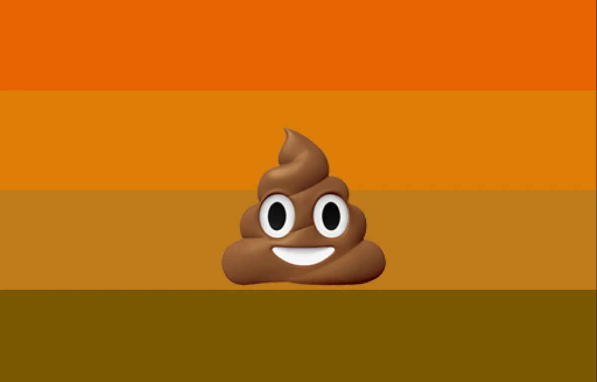 THIS IS THE OFFICIAL POO GENDER FLAG! 😂 | Fandom