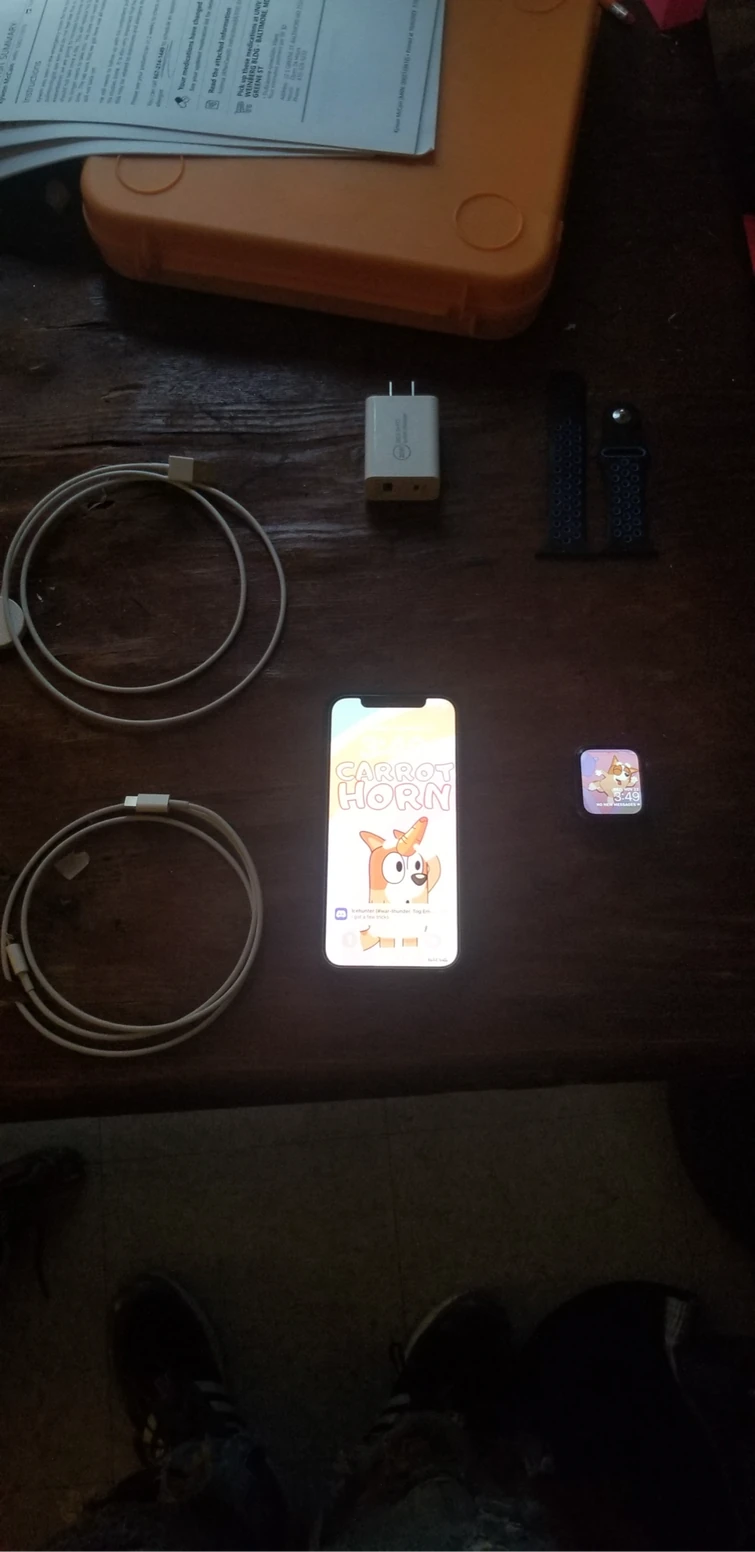 The Iphone "Bingo's apple" starter pack | Fandom